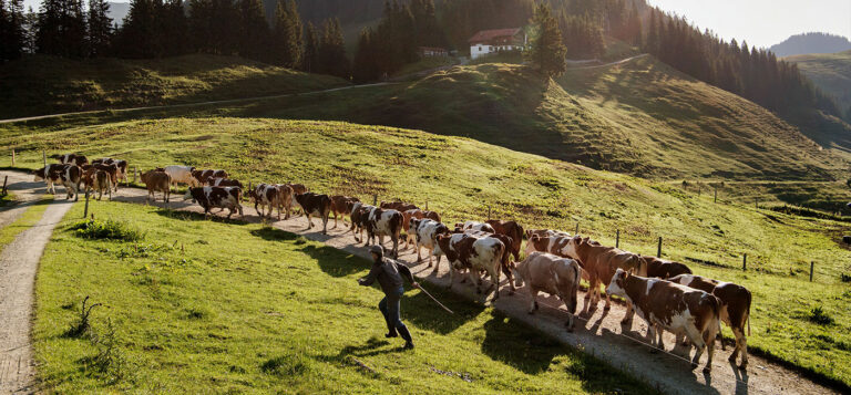 Grundbegriffe der Almwirtschaft – Unsere.Almen