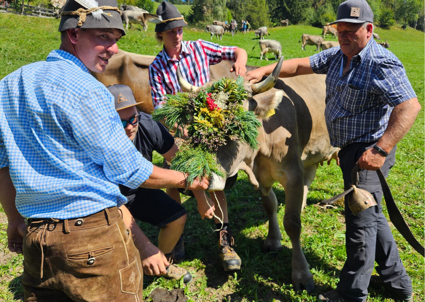 Traditioneller Kopfschmuck beim Almabtrieb – Unsere.Almen